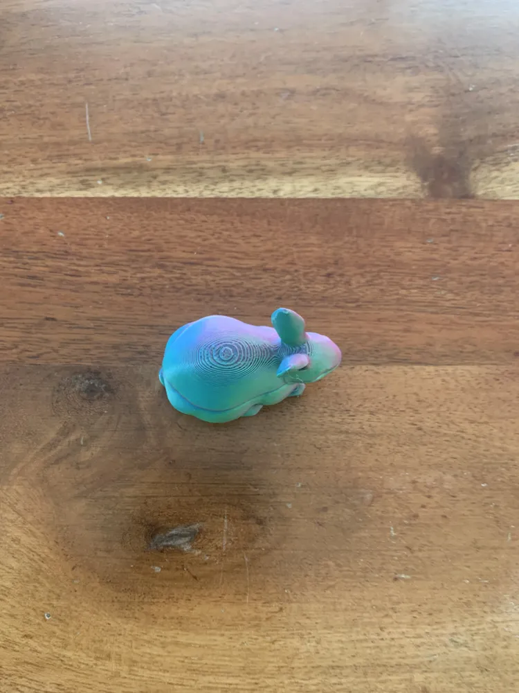 Hase (sell it) by Samuel MakerWorld: Download Free 3D Models