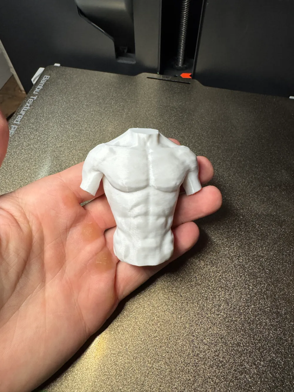 Low poly male torso (free to sell!) by Meshminds2 MakerWorld: Download ...