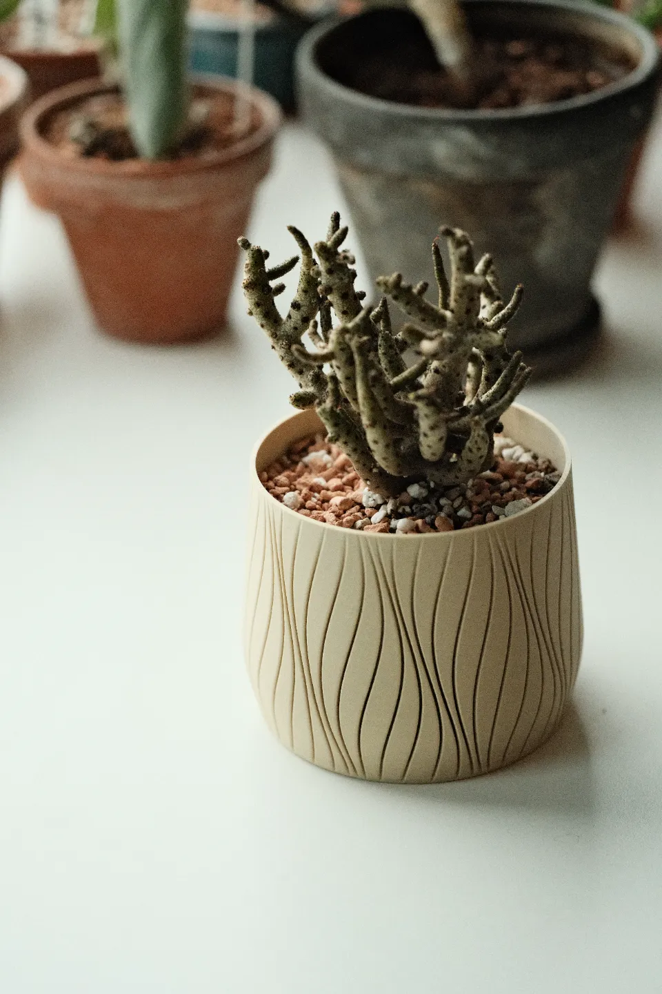 Plant pot with flow pattern by Adam - MakerWorld
