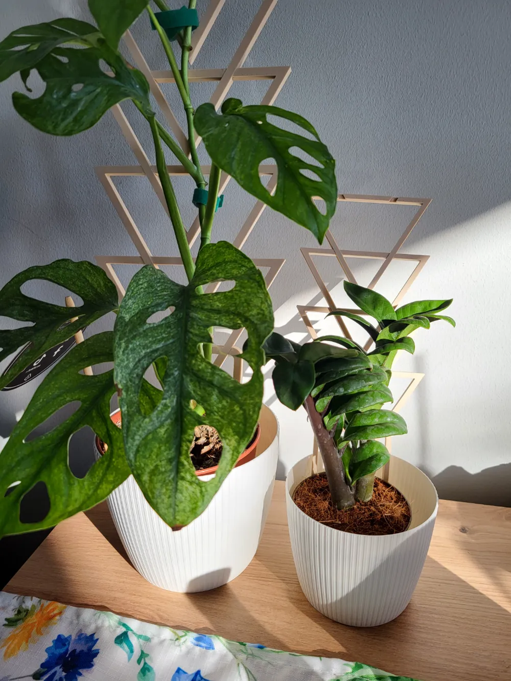 Foldable Triangles plant support by Ebertech MakerWorld: Download Free ...