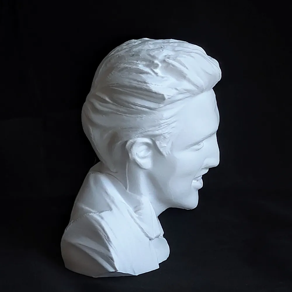 bust of Elvis Presley by ArmoredWolf MakerWorld: Download Free 3D Models