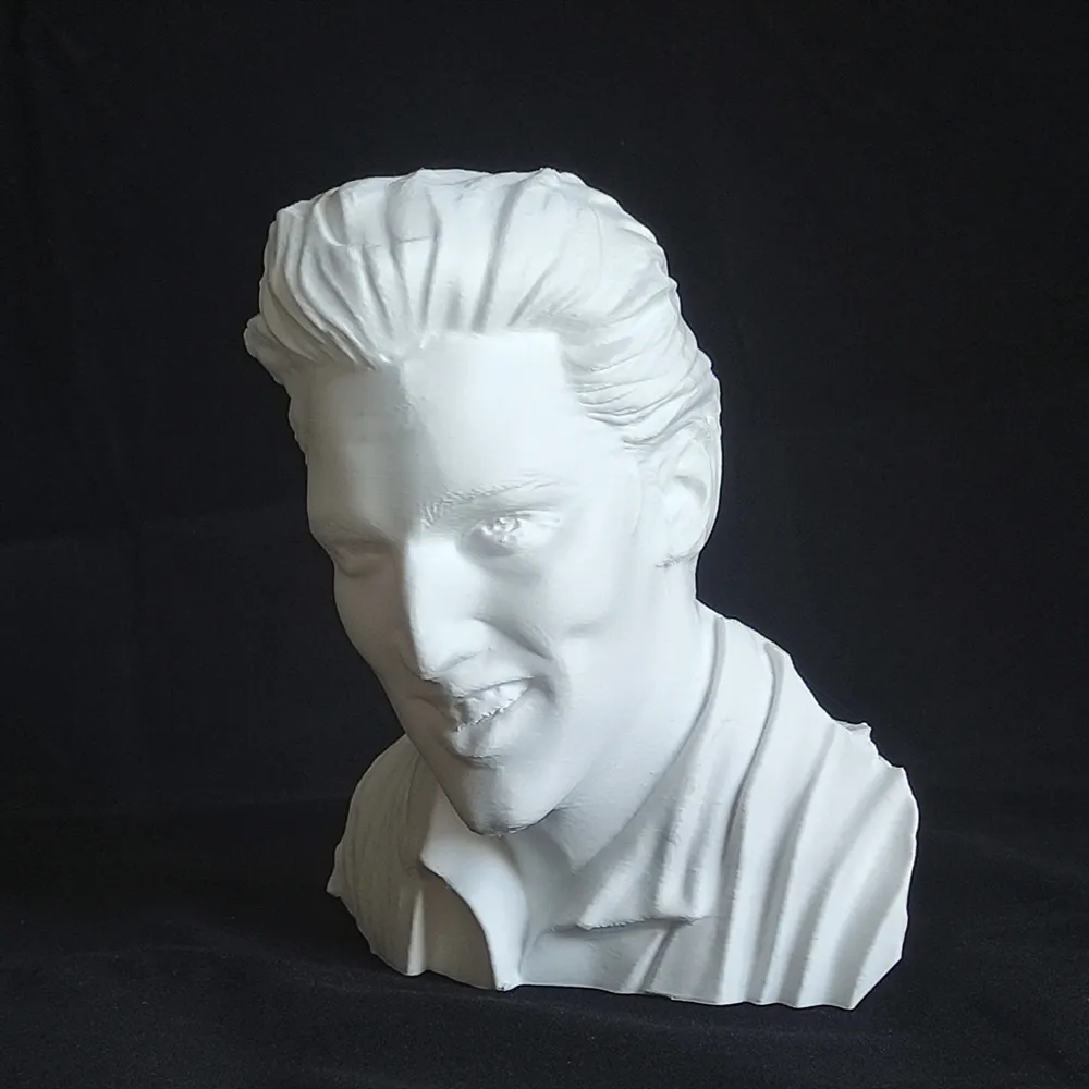 bust of Elvis Presley by ArmoredWolf MakerWorld: Download Free 3D Models