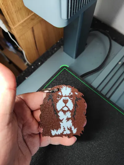 Cavalier king charles spaniel coaster by CustomCreations - MakerWorld