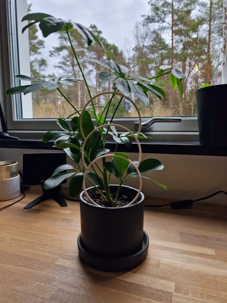 Loop Trellis - Free 3D Print Model - MakerWorld