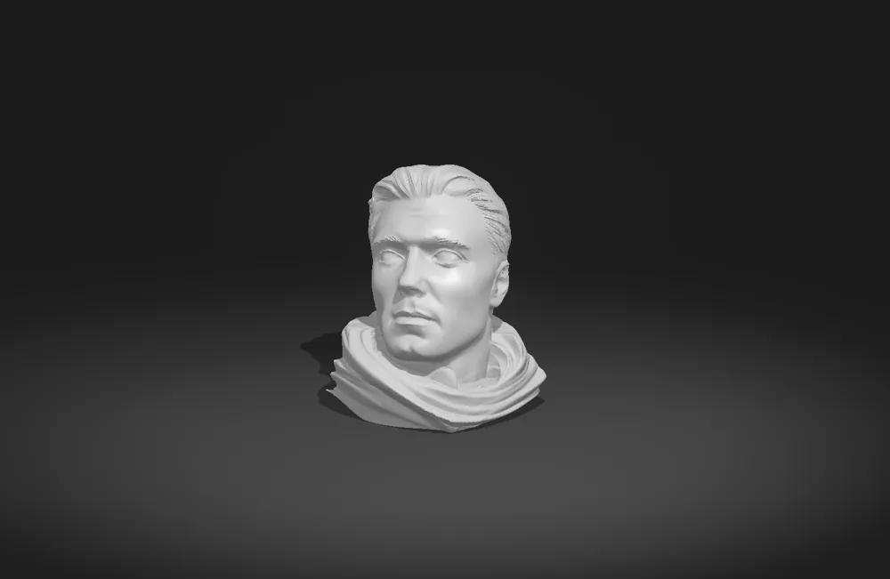 Bust of Henry of Skalitz by Grumpy MakerWorld: Download Free 3D Models