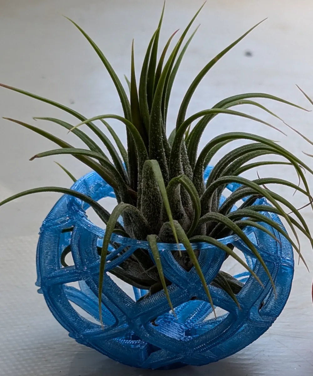Super Curvy Spiral Air Plant Pots - Free 3D Print Model - MakerWorld
