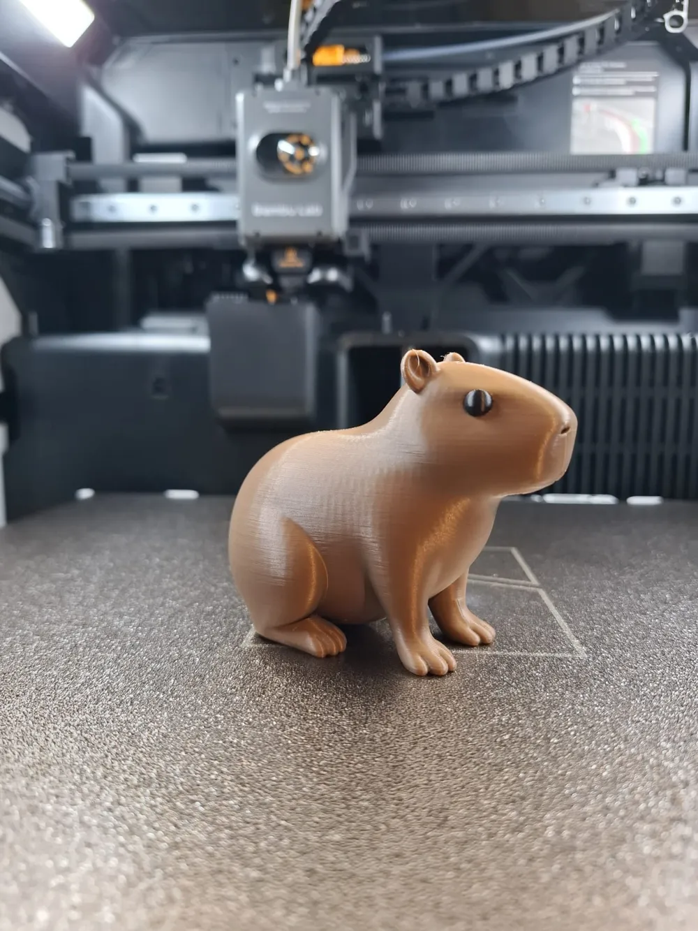 Chill Capy Companion by 3DGEPRINTNL MakerWorld: Download Free 3D Models