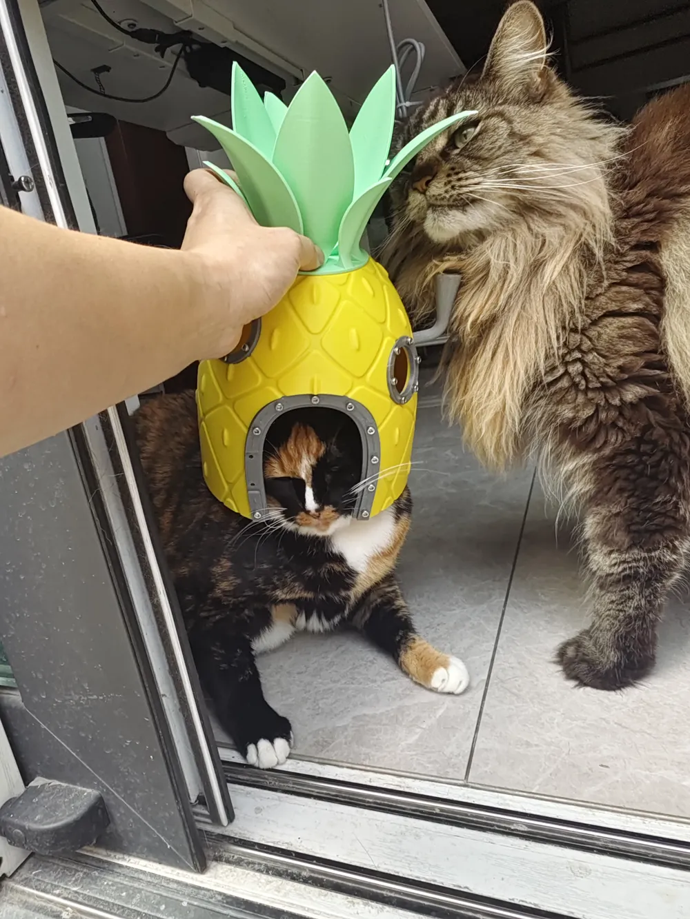 Pineapple House Hamster Hideaway SpongeBob Pineapple under the sea by ...