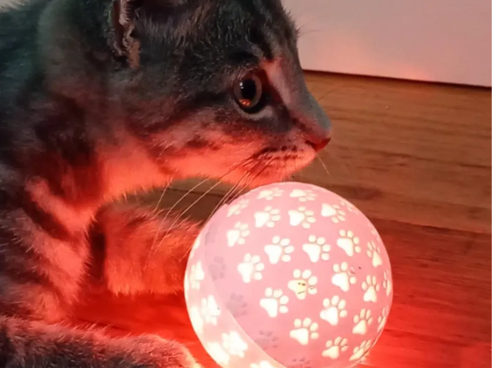 Light up cat ball toy by vali - MakerWorld