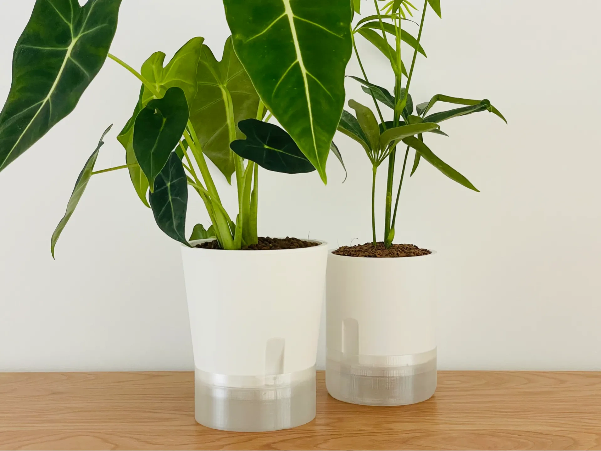 Self-Watering Planter/Lazy Planter/Multiple Sizes by JimmyKiddy ...