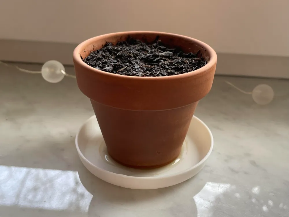 Small Plant Pot Saucer by Pulsar Designs - MakerWorld