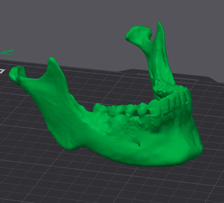 Mandible by Connor MakerWorld: Download Free 3D Models