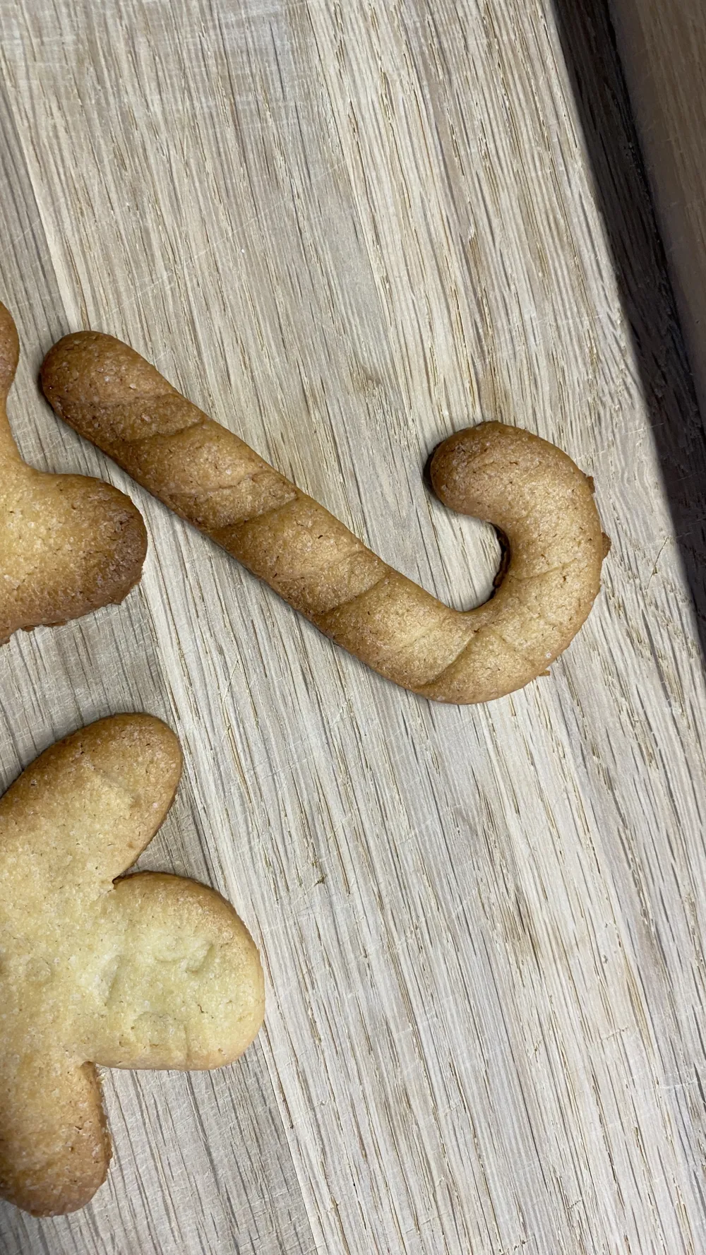 Cookie Cutter Candy Cane Shared by Foxmckraut - MakerWorld