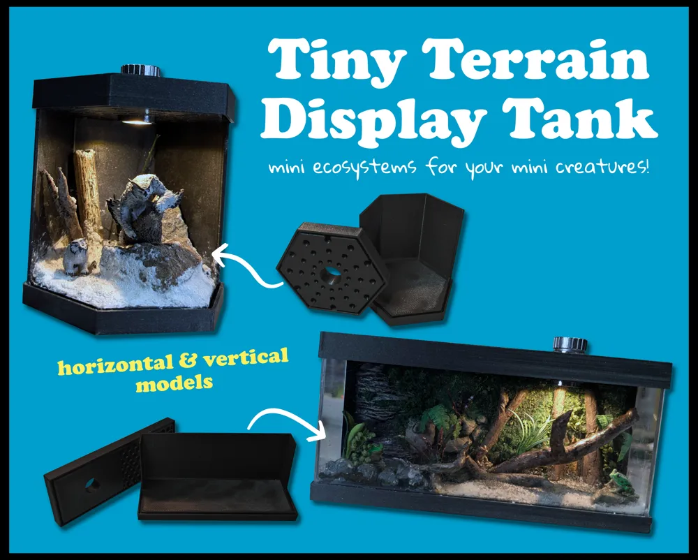 Tiny Terrain Display Tank - Free 3D Print Model - MakerWorld