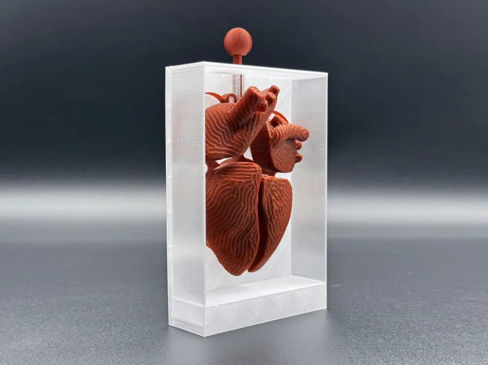 觉醒·紧急起搏 来自 WangRY MakerWorld：免费下载 3D 模型