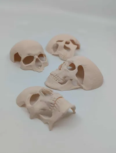 Human skull Spooky reptile hide Enrichment Decor - Free 3D Print Model ...