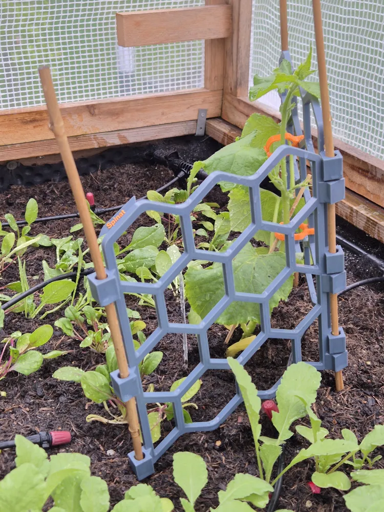 Vegetable / Plant Trellis by Pat_3D MakerWorld: Download Free 3D Models