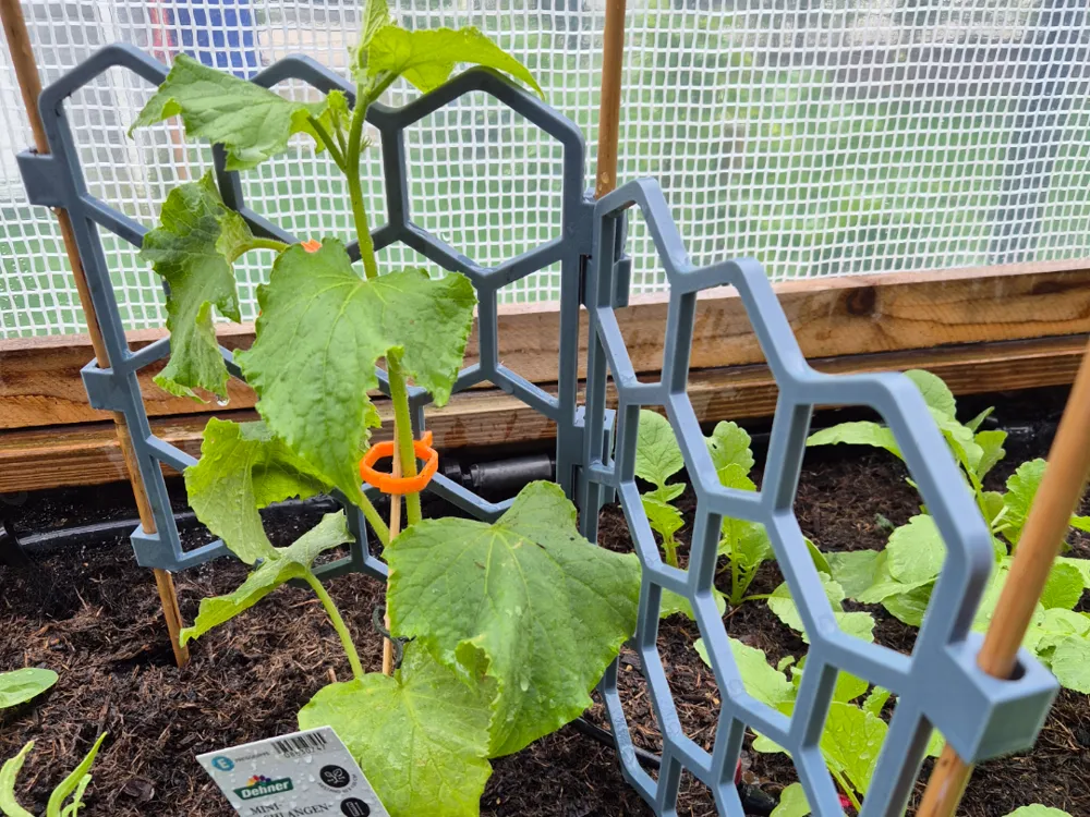 Vegetable / Plant Trellis by Pat_3D MakerWorld: Download Free 3D Models