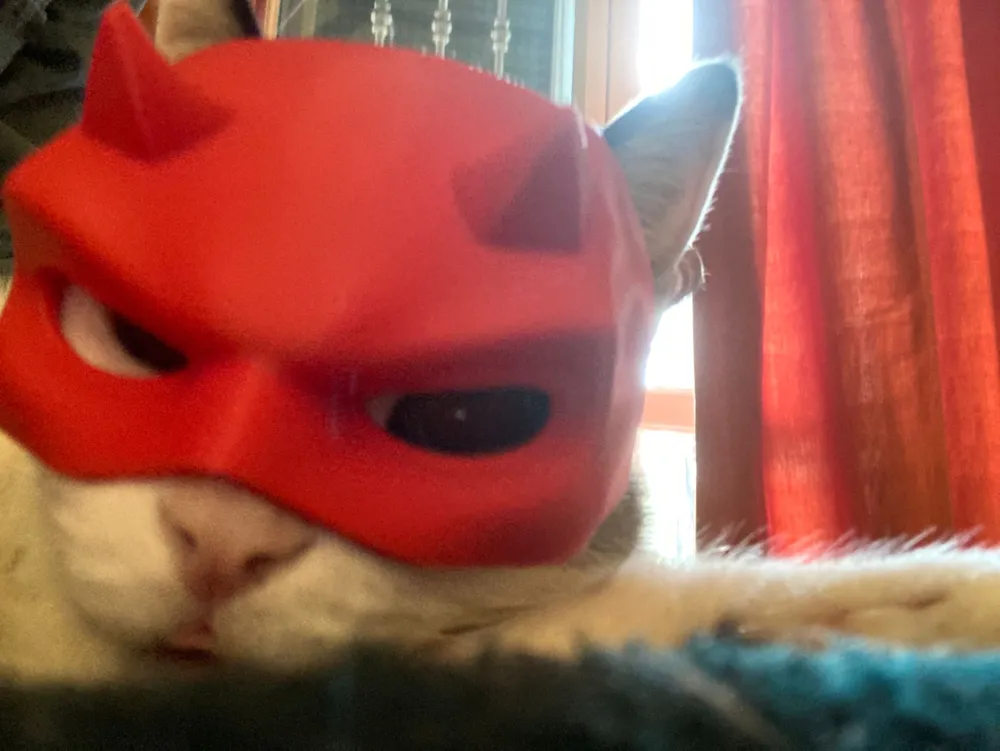 Devil / Daredevil Cat Mask Remixed by FGorgo MakerWorld: Download Free ...