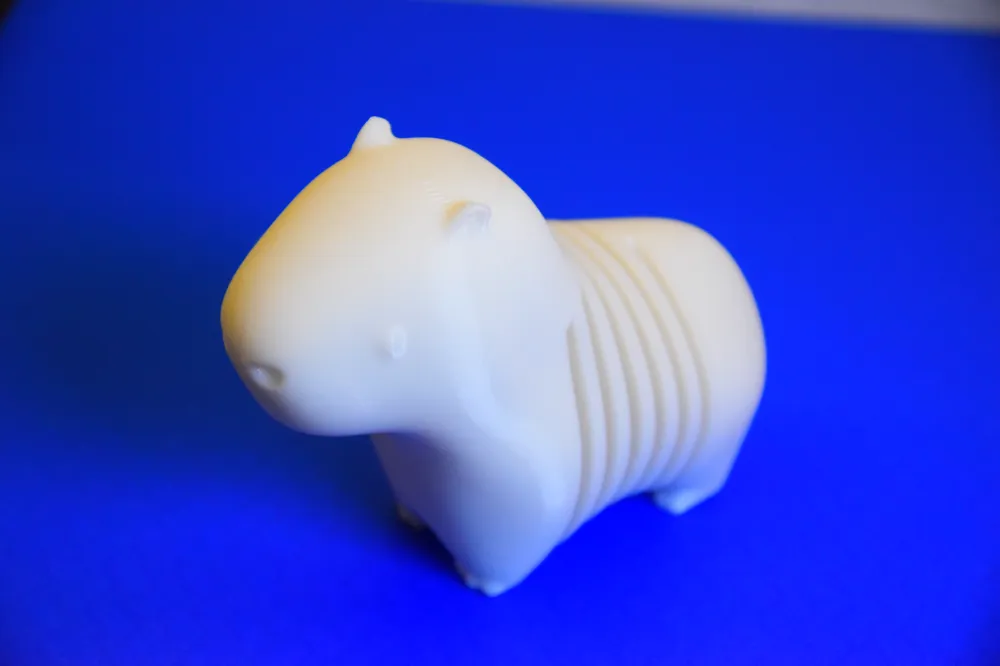 Capibara de Primavera por CC - MakerWorld