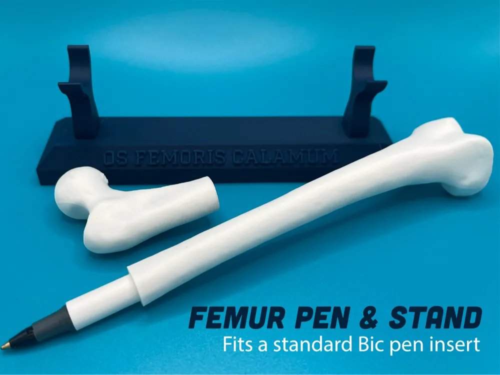 Femur (Thigh Bone) Pen - Free 3D Print Model - MakerWorld
