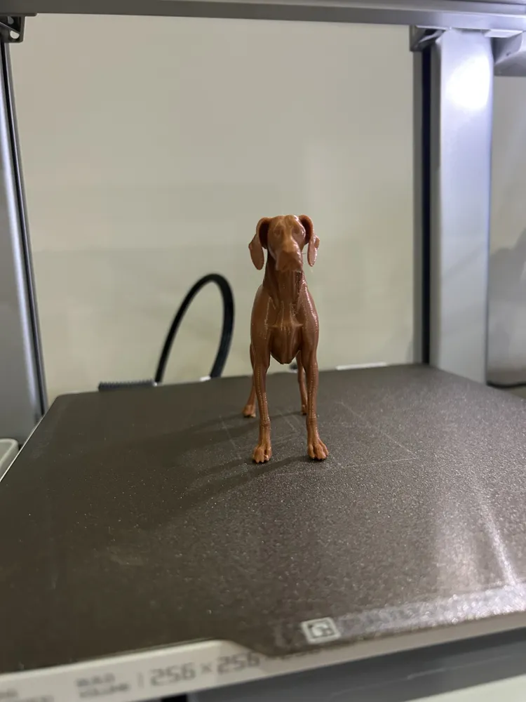 Hyper Realistic German Shorthaired pointer Dog by Dan MakerWorld: Download Free 3D Models