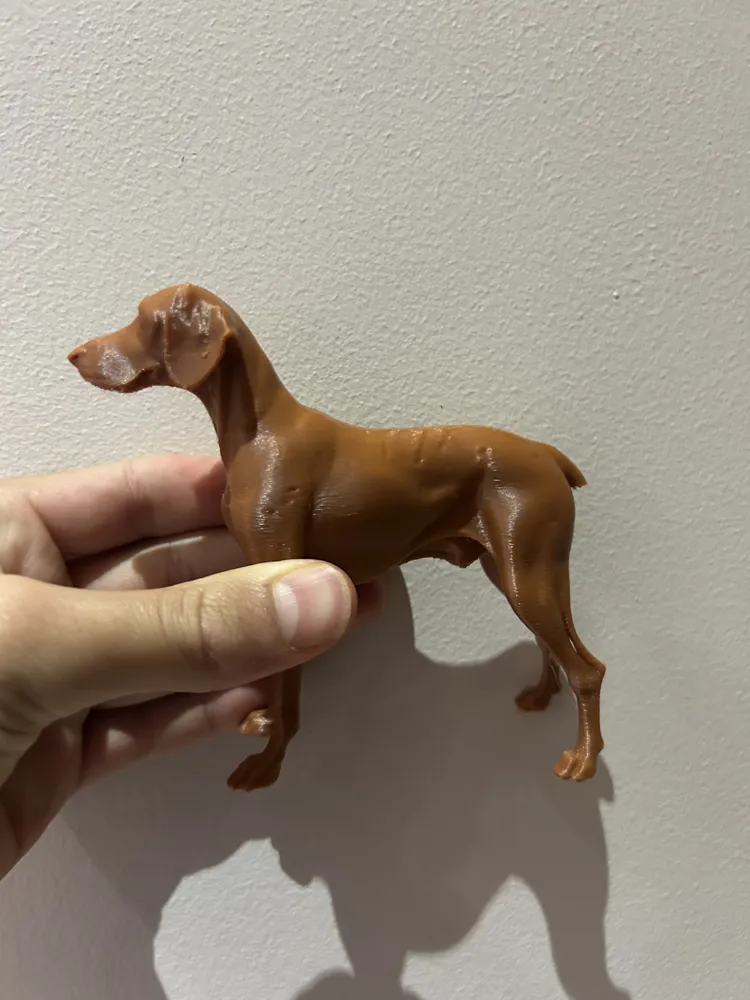 Hyper Realistic German Shorthaired pointer Dog by Dan MakerWorld: Download Free 3D Models