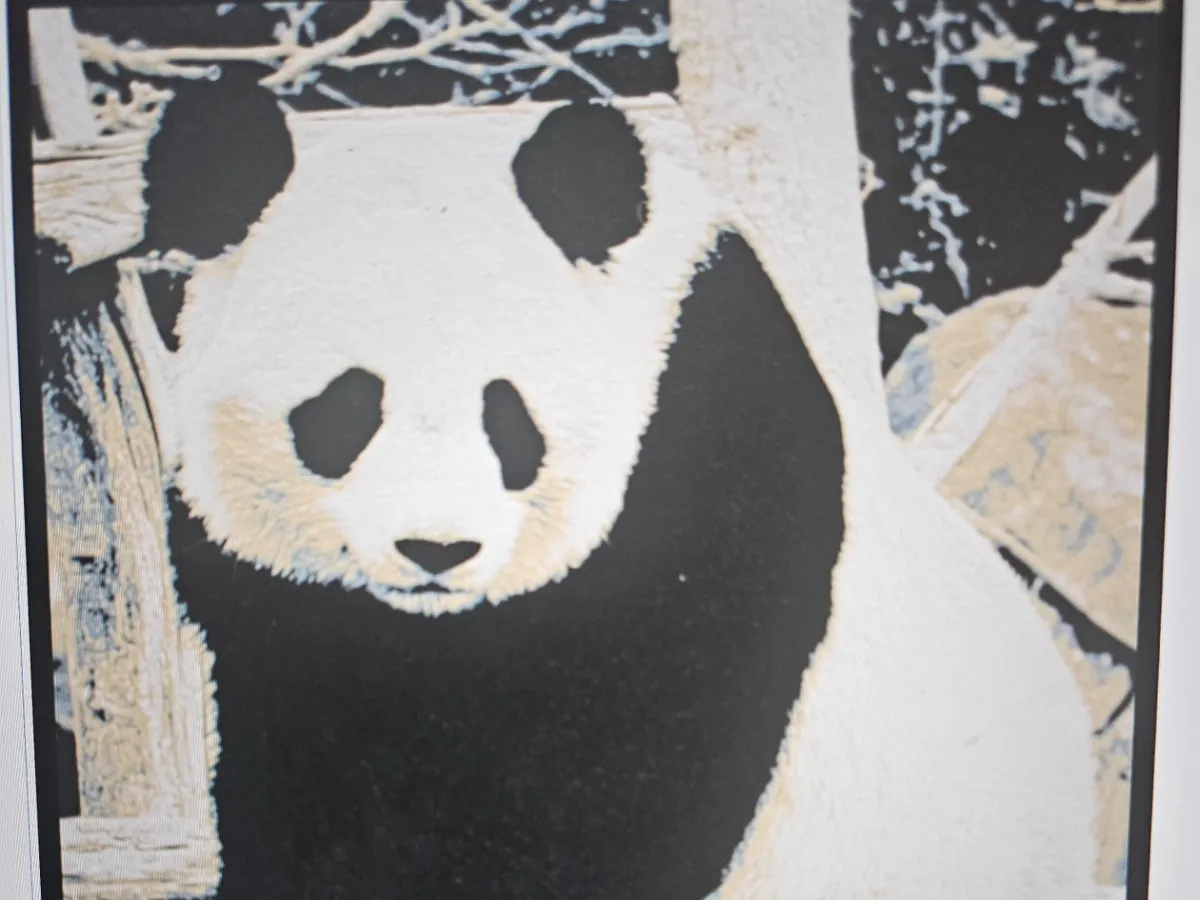 PANDA - Free 3D Print Model - MakerWorld