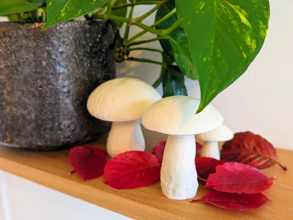 Realistic mushroom decor by Arwast MakerWorld: Download Free 3D Models