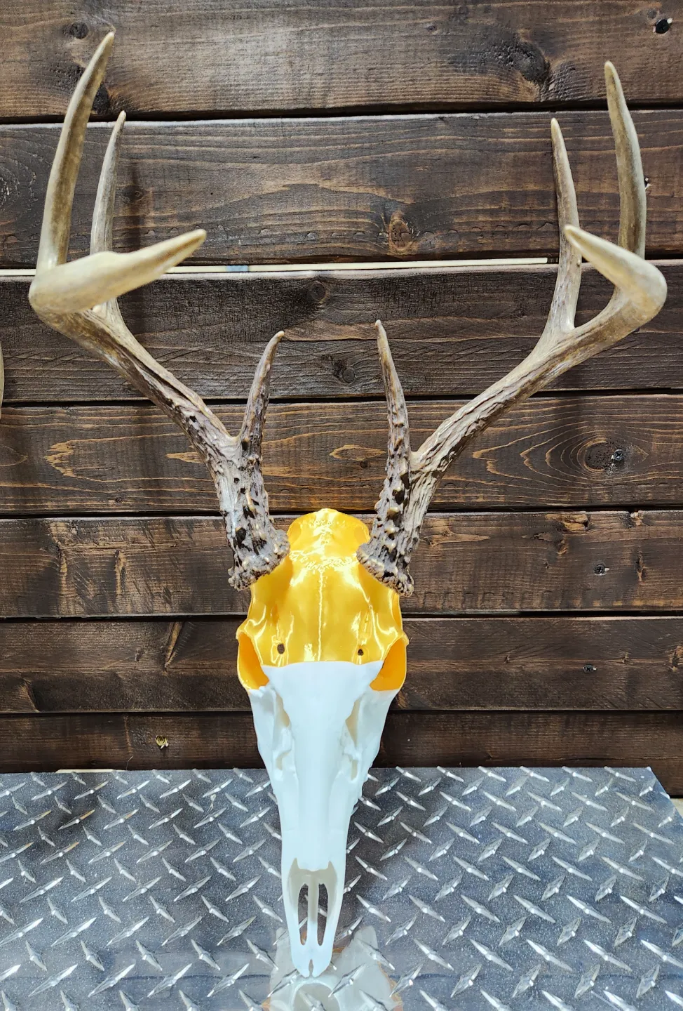 Deer Antler Skull Mount - Whitetail Buck - Free 3D Print Model - MakerWorld