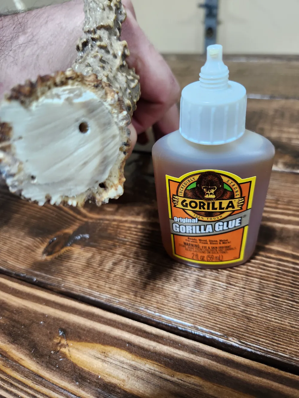 Deer Antler Skull Mount - Whitetail Buck by DTM247 MakerWorld: Download Free 3D Models