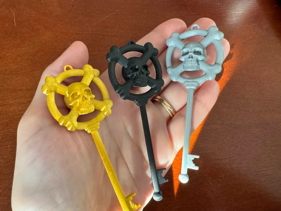 Skeleton Key with Skull and Crossbones for Dungeon or Pirate Treasure ...