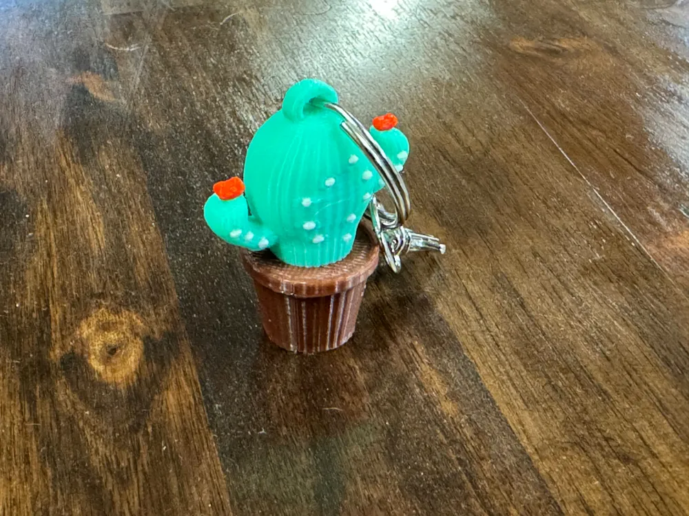 Cactus Planter Keychain by egalva00 - MakerWorld