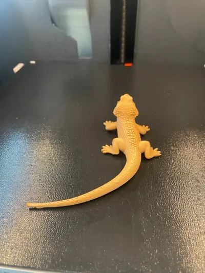 Bearded Dragon - Free 3D Print Model - MakerWorld