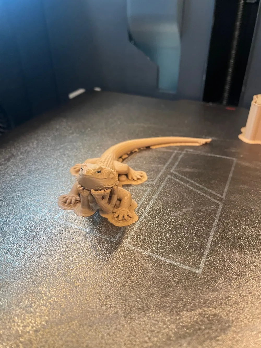 Bearded Dragon - Free 3D Print Model - MakerWorld