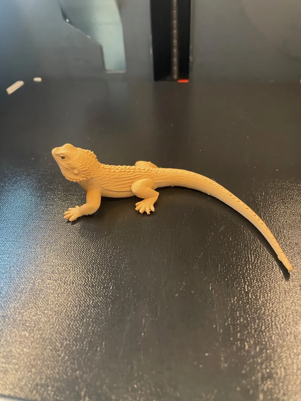 Bearded Dragon - Free 3D Print Model - MakerWorld