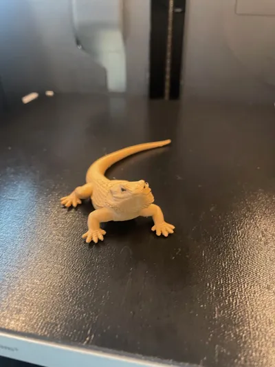 Bearded Dragon - Free 3D Print Model - MakerWorld