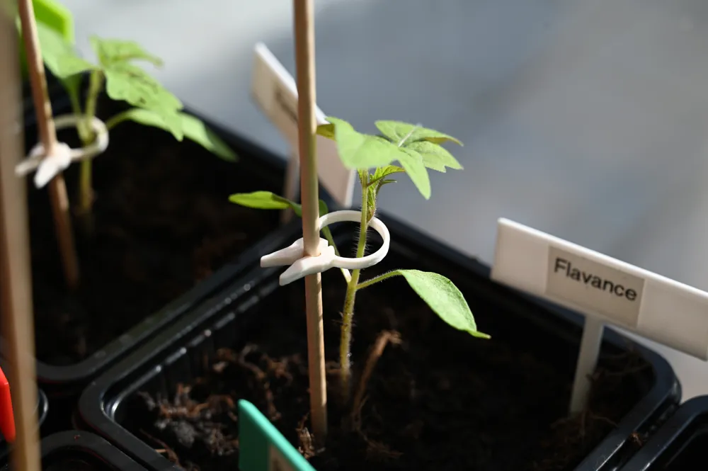 PflanzenClip / Plant Clip - Free 3D Print Model - MakerWorld