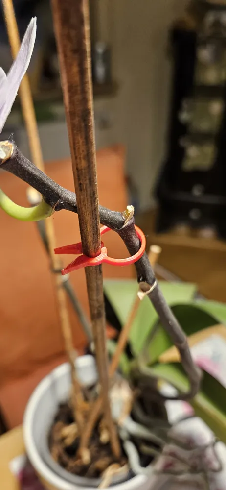 PflanzenClip / Plant Clip - Free 3D Print Model - MakerWorld