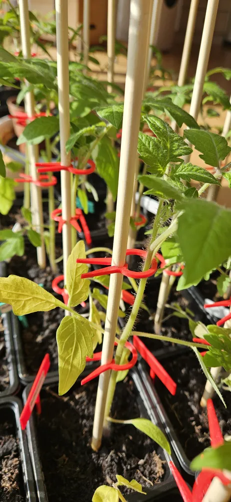 PflanzenClip / Plant Clip - Free 3D Print Model - MakerWorld