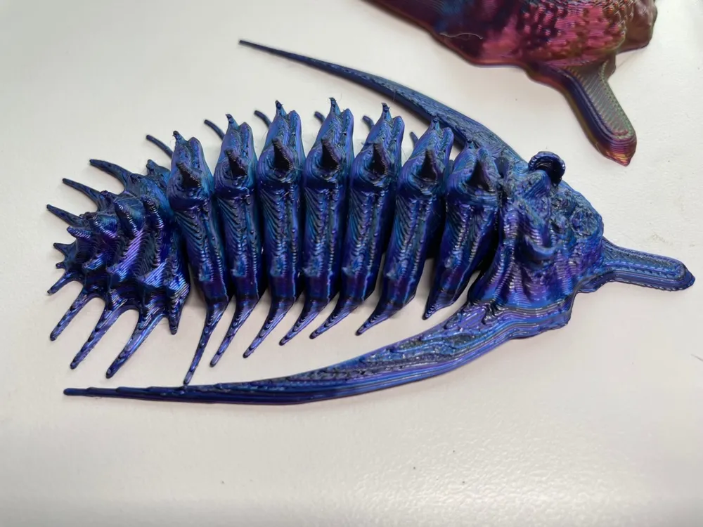 Trilobite: Psychopyge elegans by Auntie Fa - MakerWorld