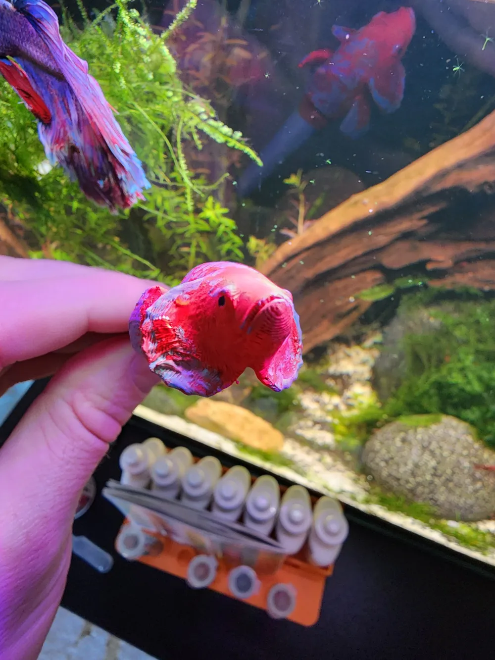 Betta Flare Stick by GravyRobber MakerWorld: Download Free 3D Models