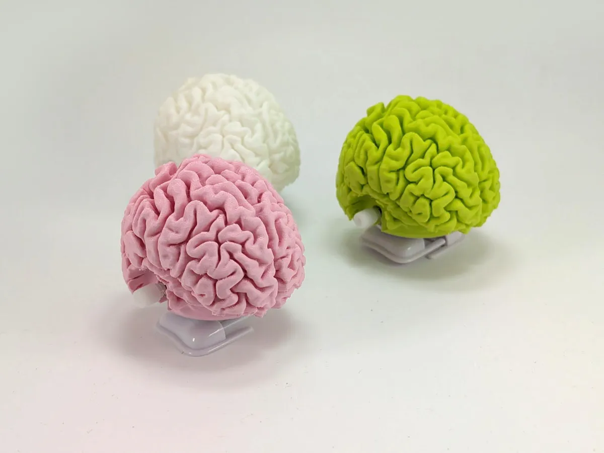 Walking Brain - Free 3D Print Model - MakerWorld