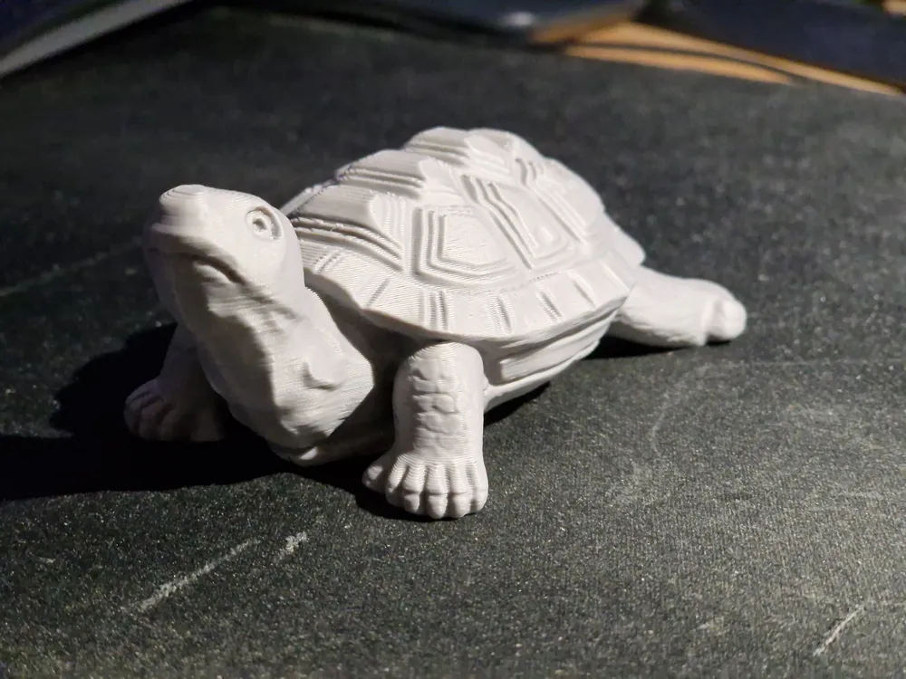 Turtle - Model of a Turtle - Turtle - Free 3D Print Model - MakerWorld