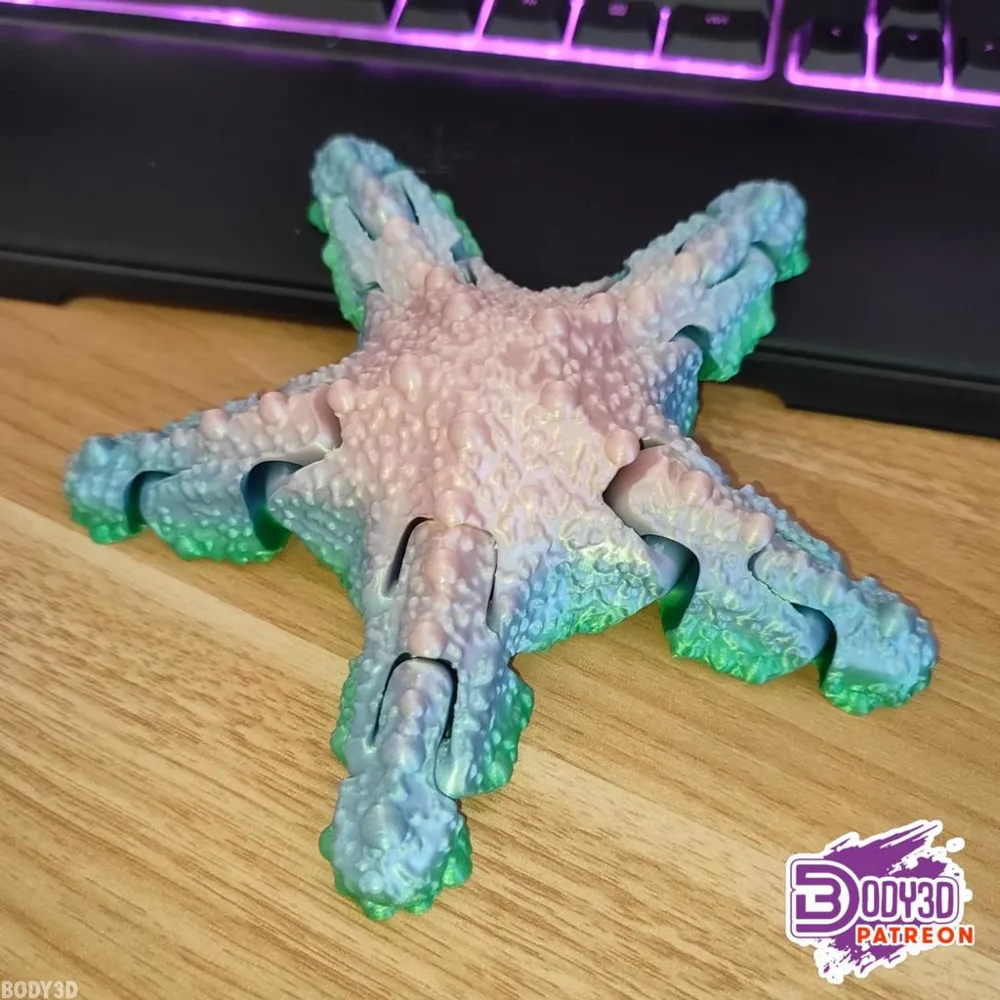 Articulated Starfish by BODY3D - MakerWorld