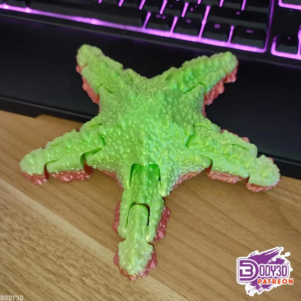 Articulated Starfish by BODY3D - MakerWorld