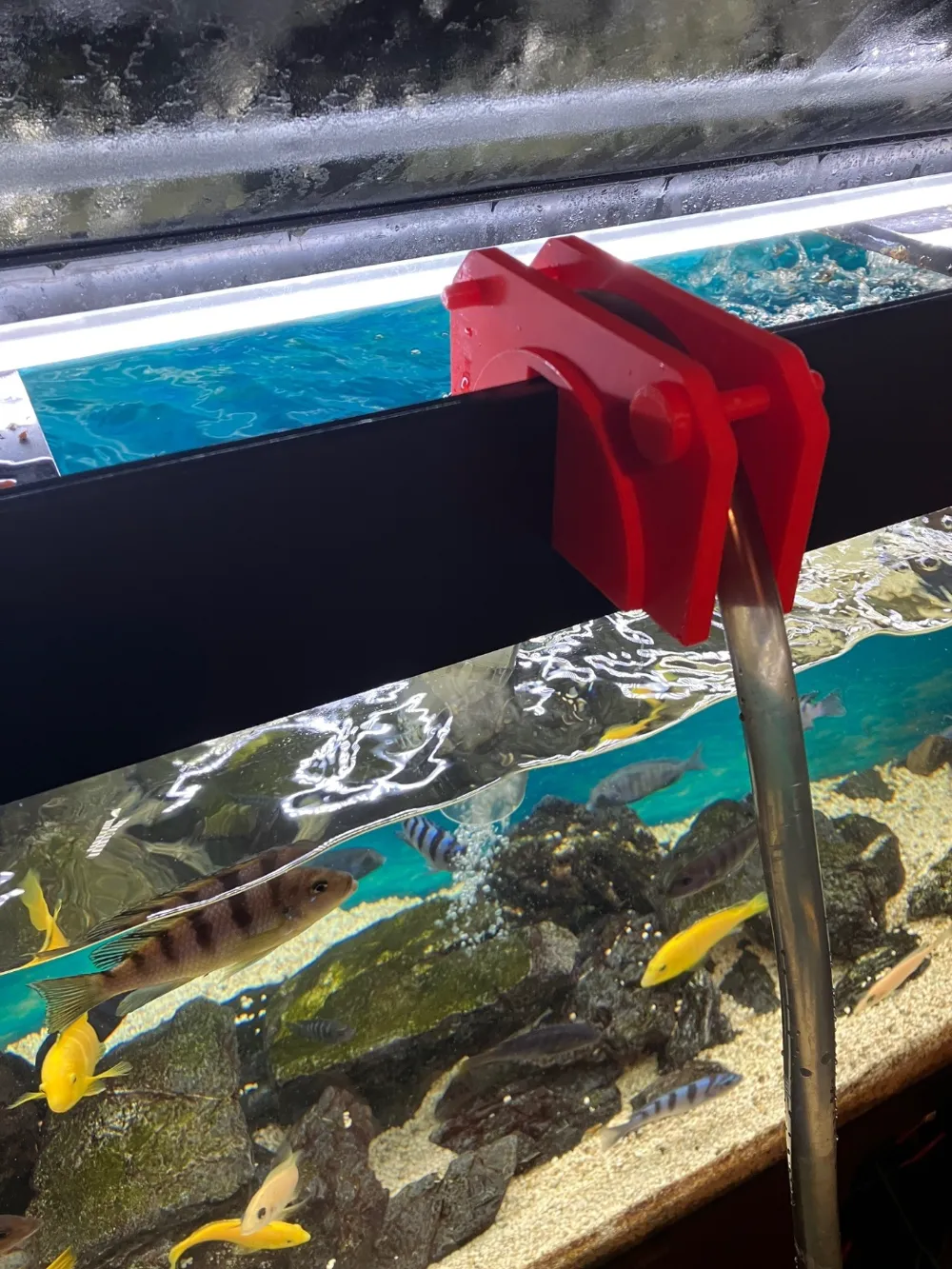 Juwel Rio Water hose holder - Free 3D Print Model - MakerWorld