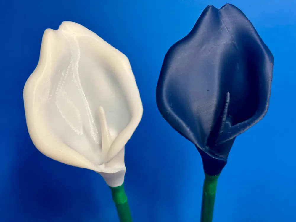 Flower Calla by cforms MakerWorld: Download Free 3D Models
