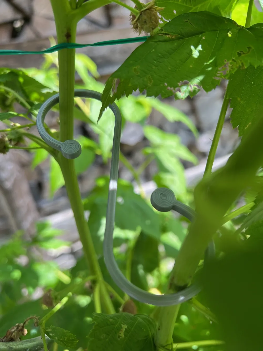 Hook - For plant branches or other usage. by OzButcher78 - MakerWorld