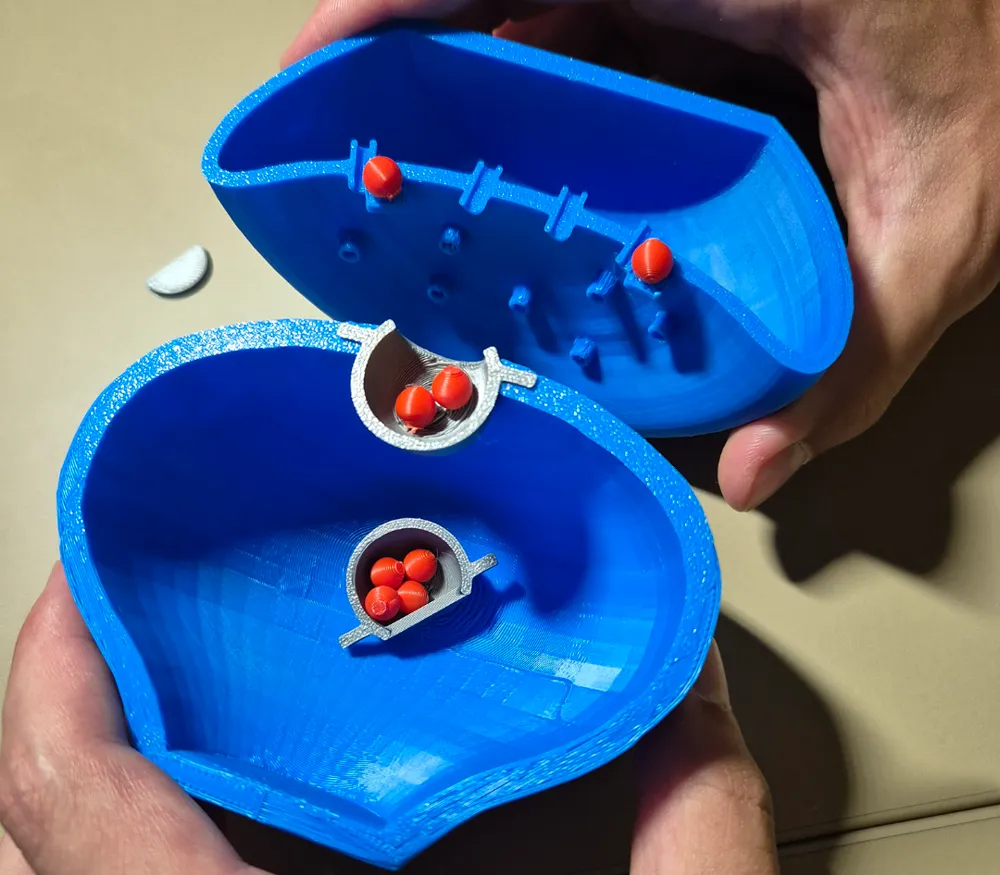 Neuronal Synapse Transmission by Arza MakerWorld: Download Free 3D Models